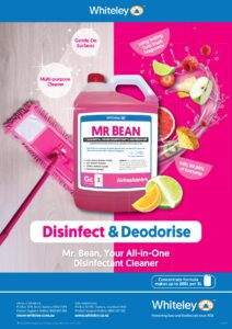 Mr Bean – Disinfectant, Air Freshener & Multipurpose Cleaner 5 LT ...